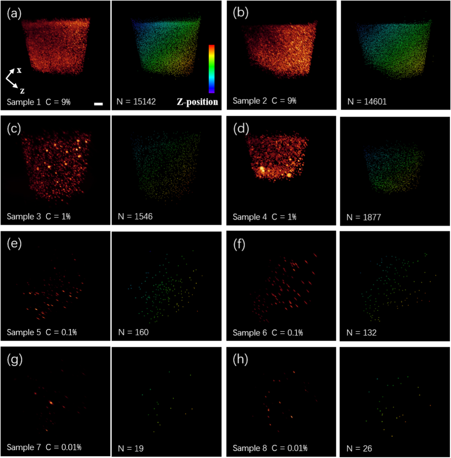 Open-top light-sheet imaging of CLEAR emulsion for high-throughput loss ...