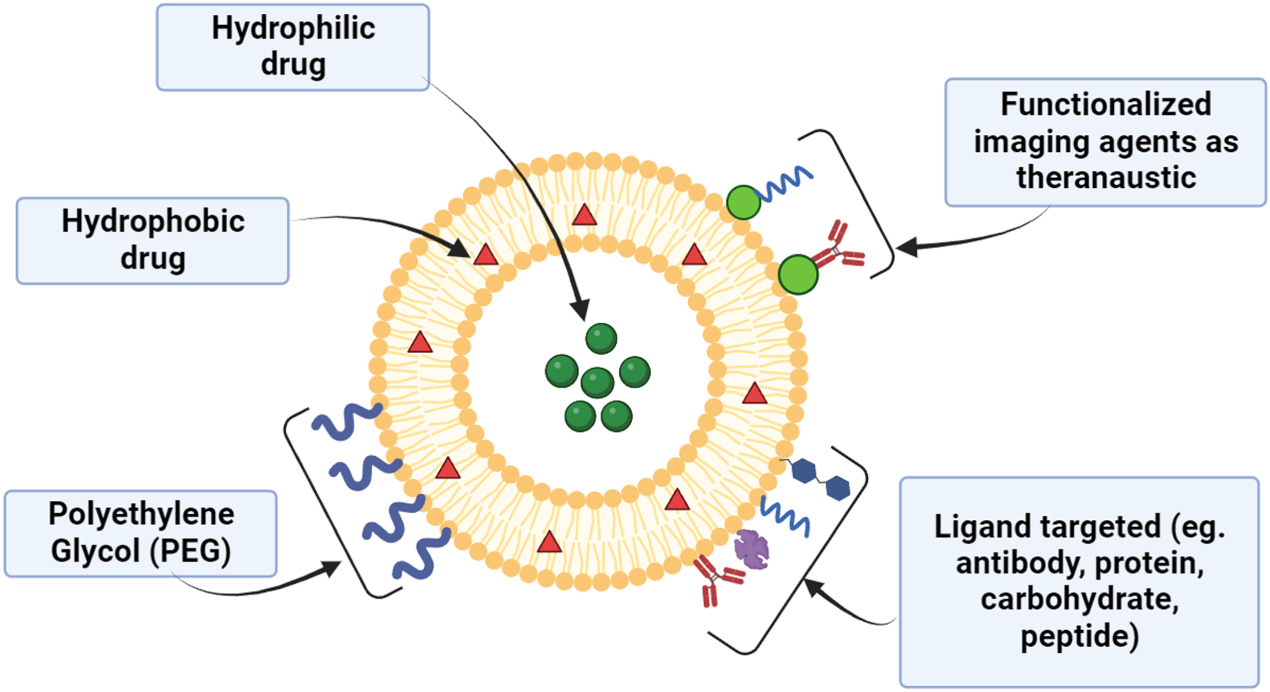 Nano-based drug delivery system for therapeutics: a comprehensive ...