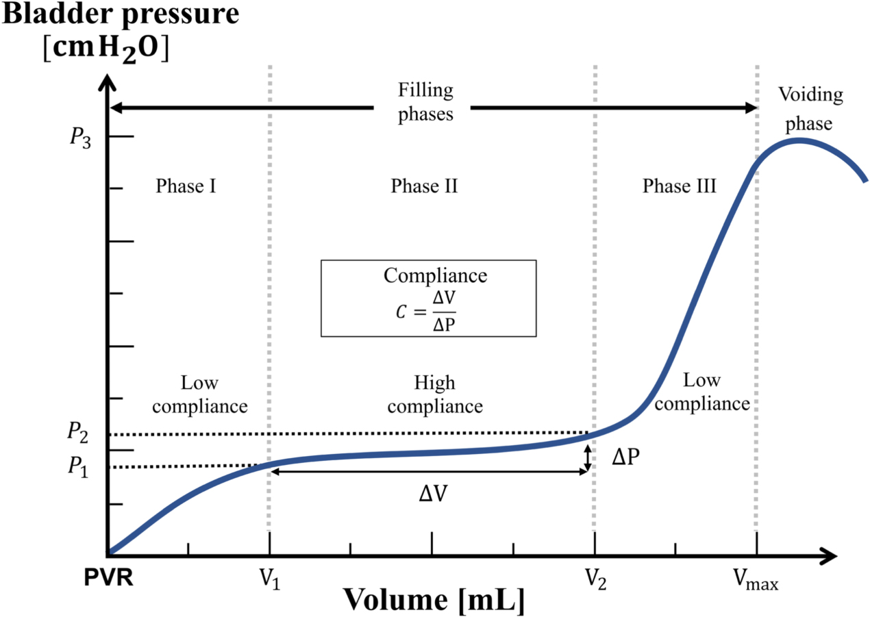 Urinary bladder phantom mimicking mechanical properties and pressure ...