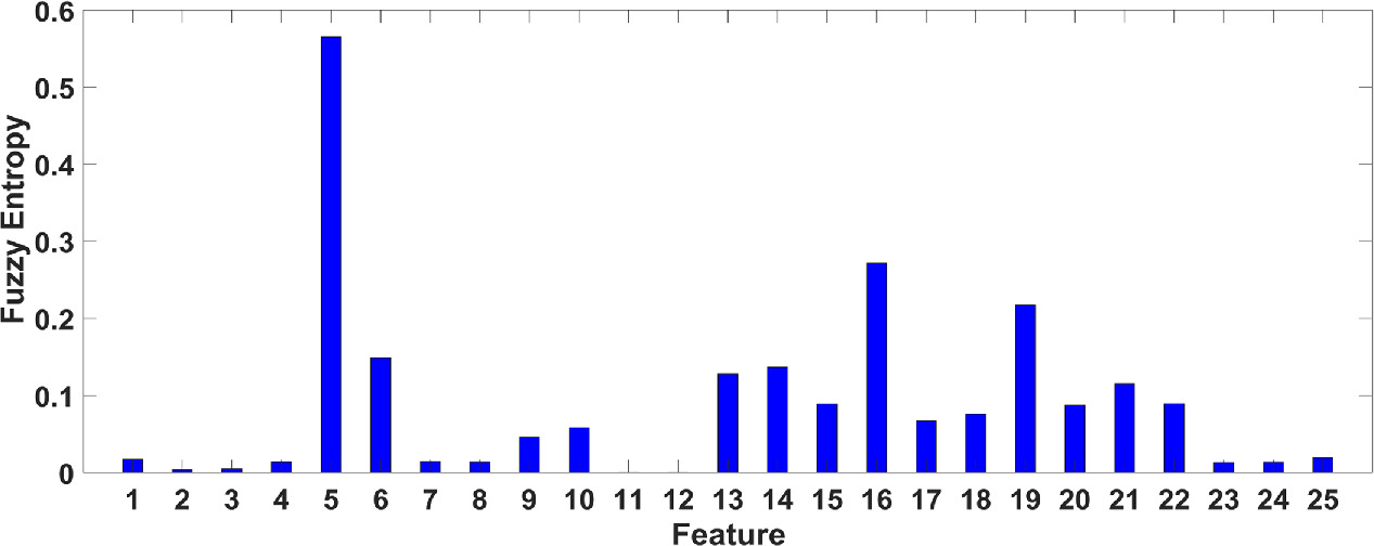 Electrocardiogram morphological arrhythmia classification using fuzzy entropy-based feature ...