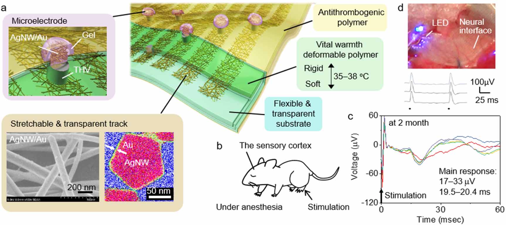 Flexible neural interfaces for brain implants—the pursuit of thinness ...