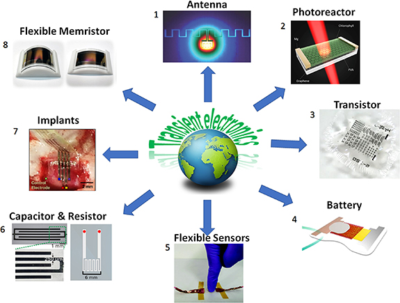 Water soluble flexible and wearable electronic devices: a review ...