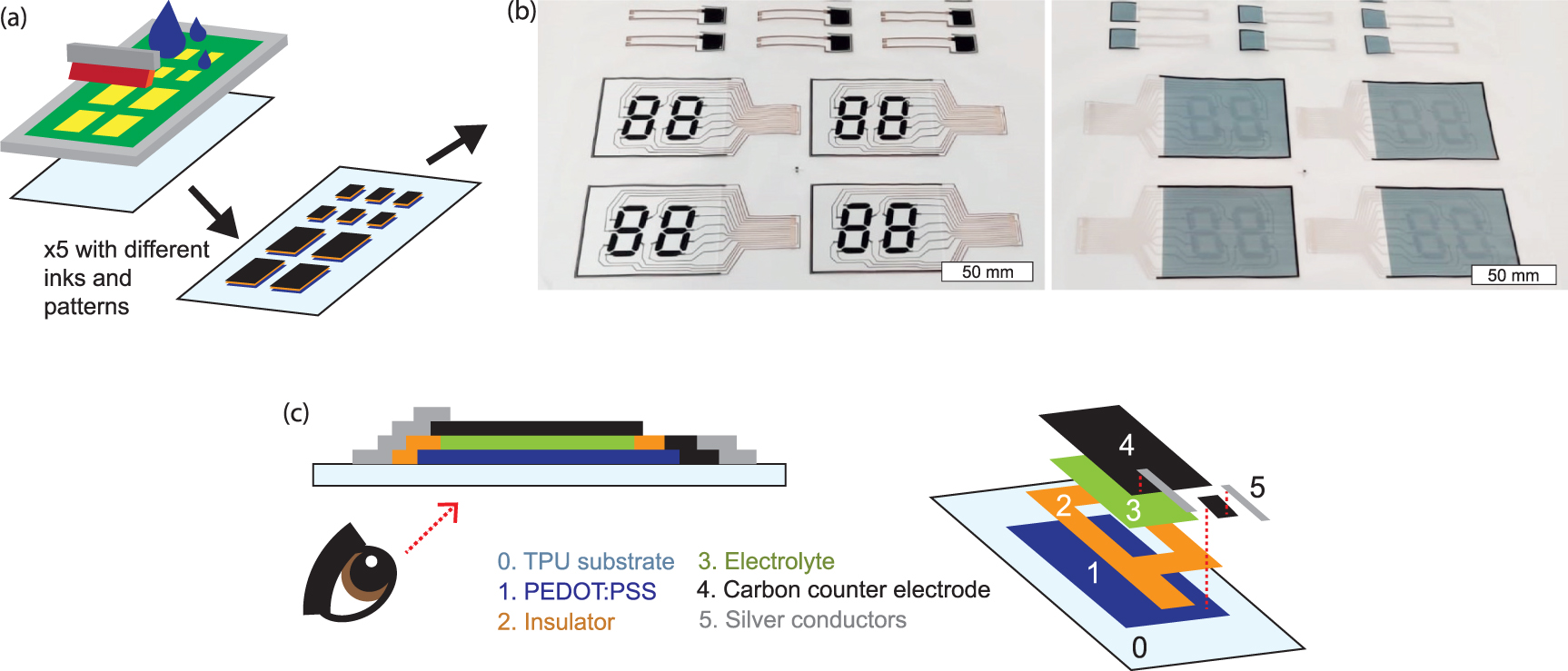 Fully screen printed stretchable electrochromic displays - IOPscience