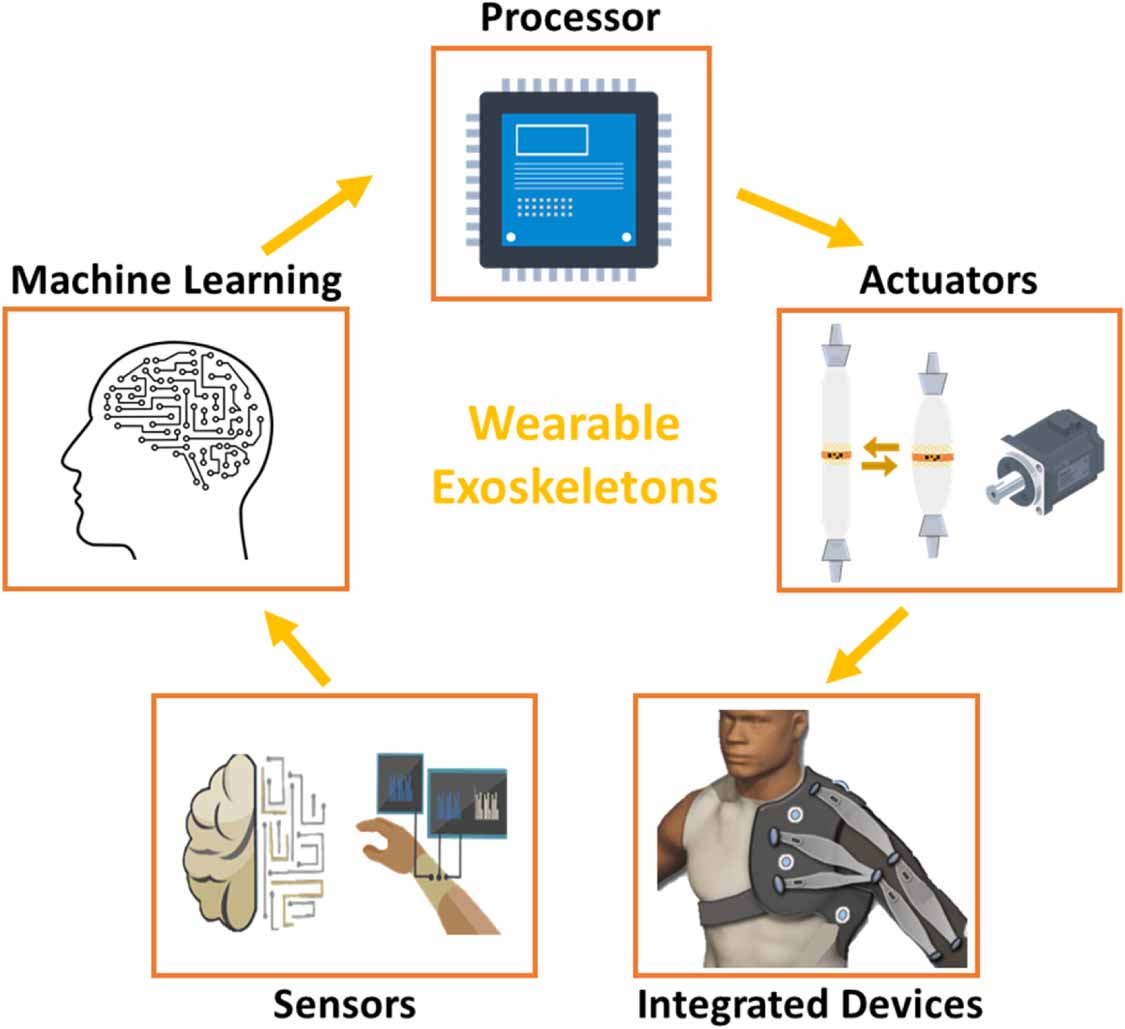Recent advances in wearable exoskeletons for human strength ...
