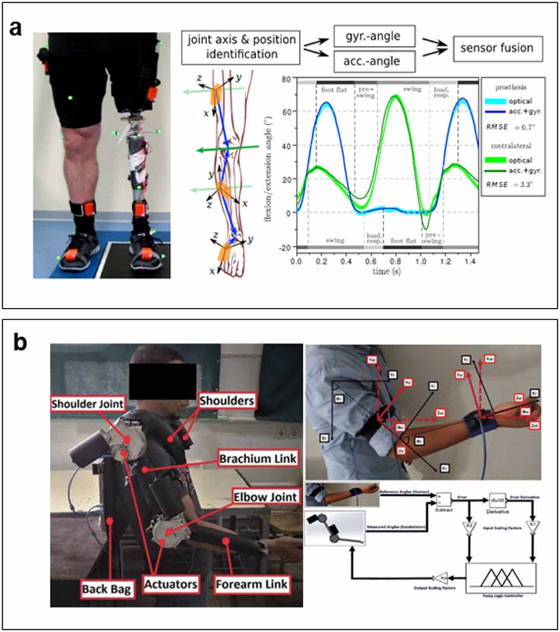 Recent advances in wearable exoskeletons for human strength ...
