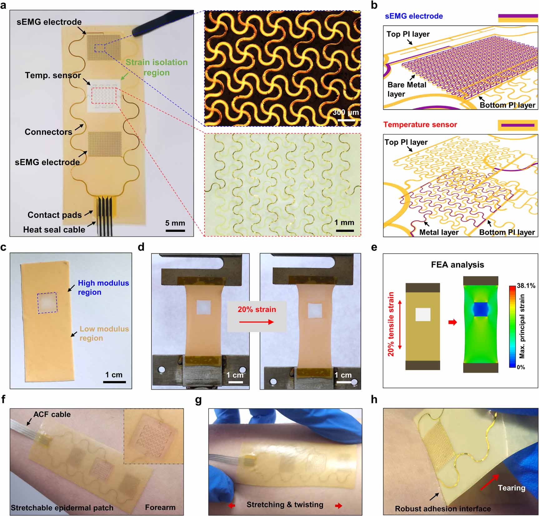 Stretchable electronic skin patch with strain isolation for the ...