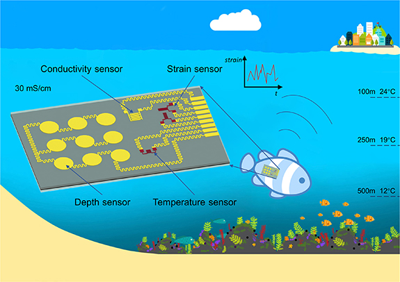 Flexible conductivity-temperature-depth-strain (CTDS) sensor based on a ...