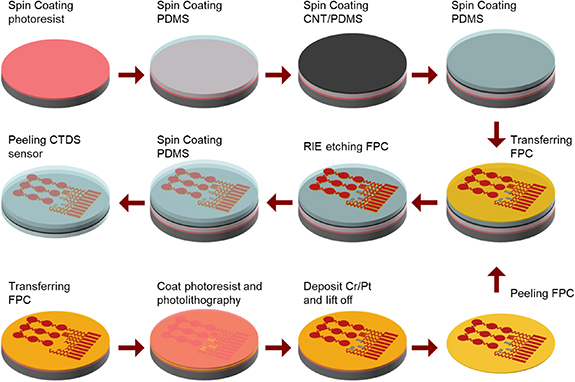 Flexible conductivity-temperature-depth-strain (CTDS) sensor based on a ...