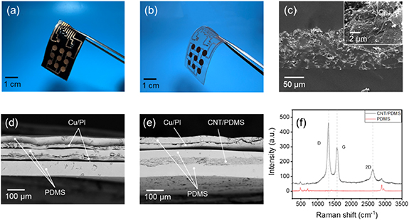 Flexible conductivity-temperature-depth-strain (CTDS) sensor based on a ...
