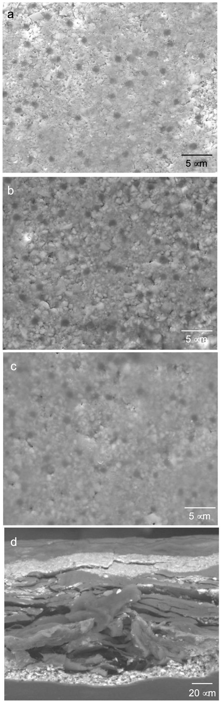 Shellac-paper composite as a green substrate for printed electronics ...