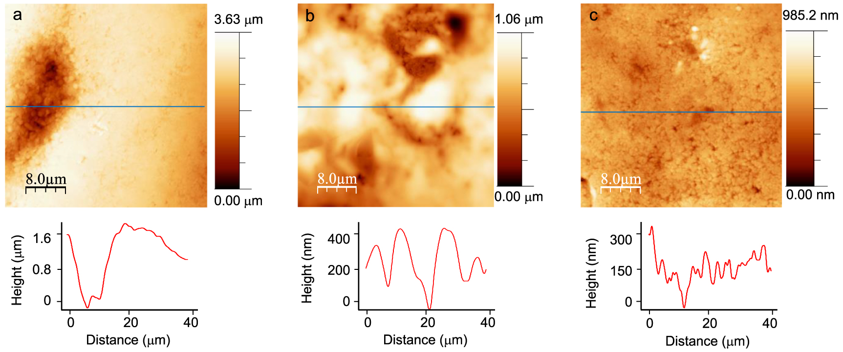 Shellac-paper composite as a green substrate for printed electronics ...