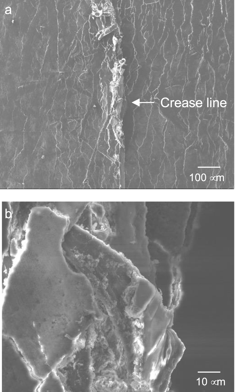 Shellac-paper composite as a green substrate for printed electronics ...