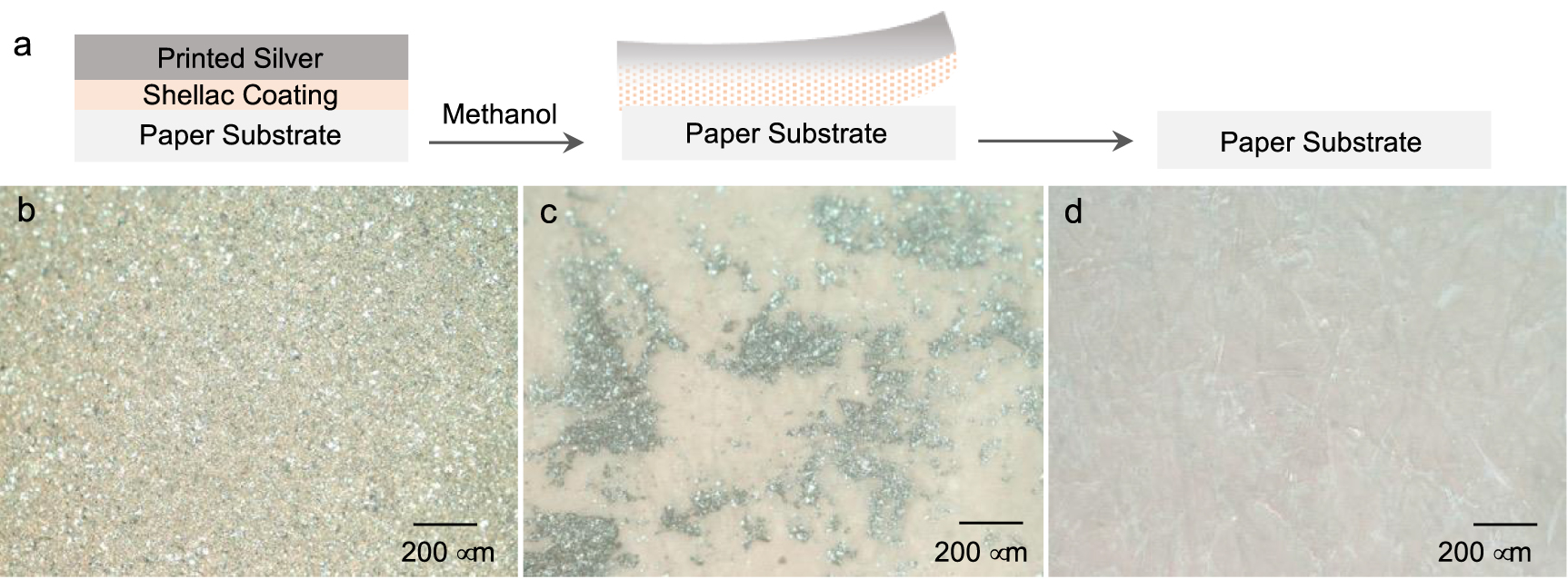 Shellac-paper composite as a green substrate for printed electronics ...