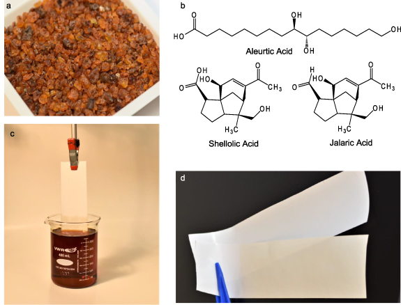 Shellac-paper composite as a green substrate for printed electronics ...