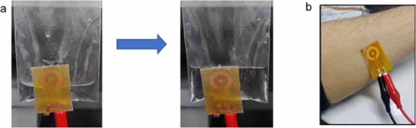 Flexible planar capacitive devices for hydration and sweat sensing ...