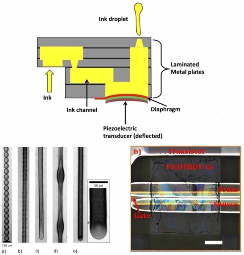Additively fabricated on-skin sensors for mechanical and thermal ...