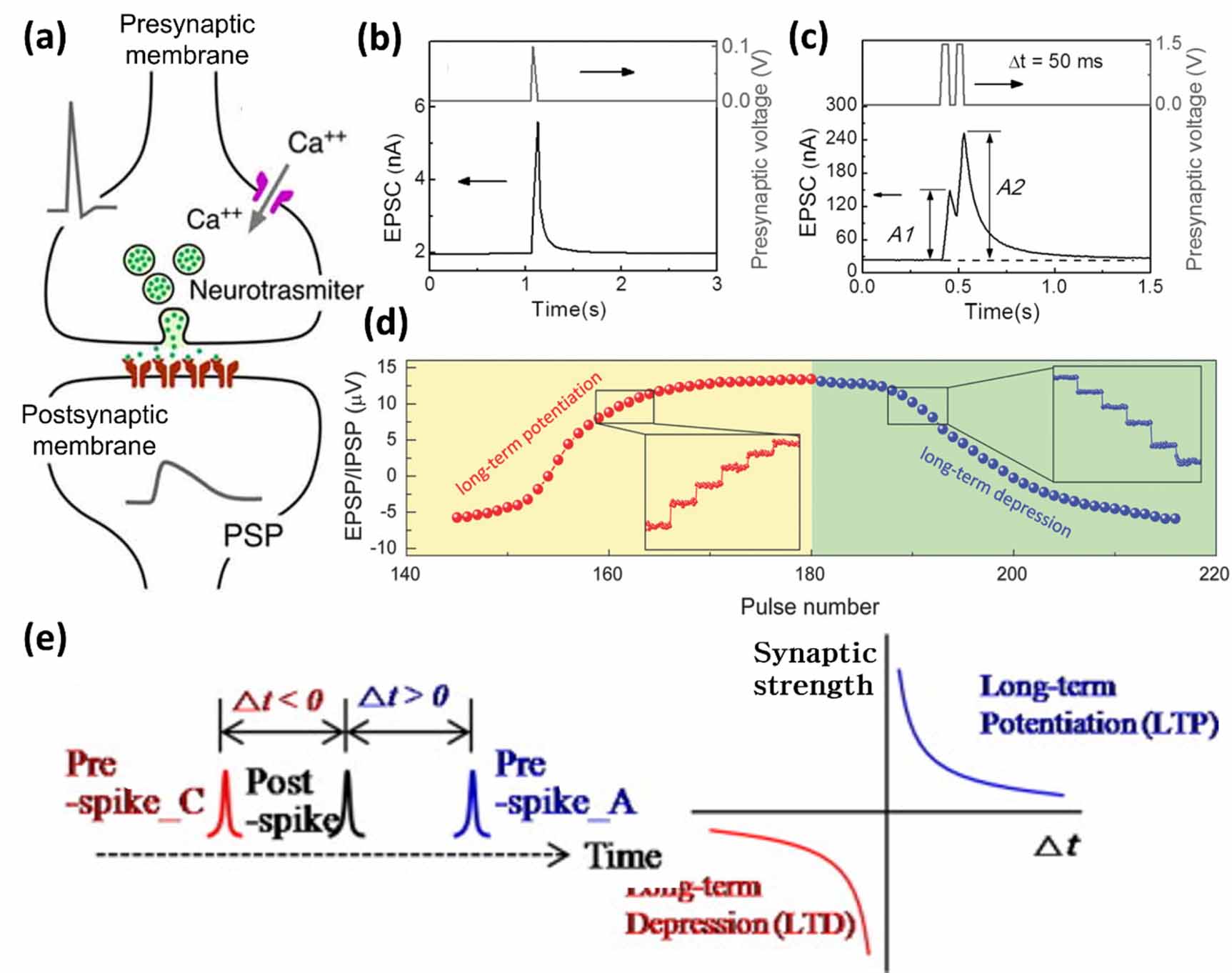Flexible and stretchable synaptic devices for wearable neuromorphic ...