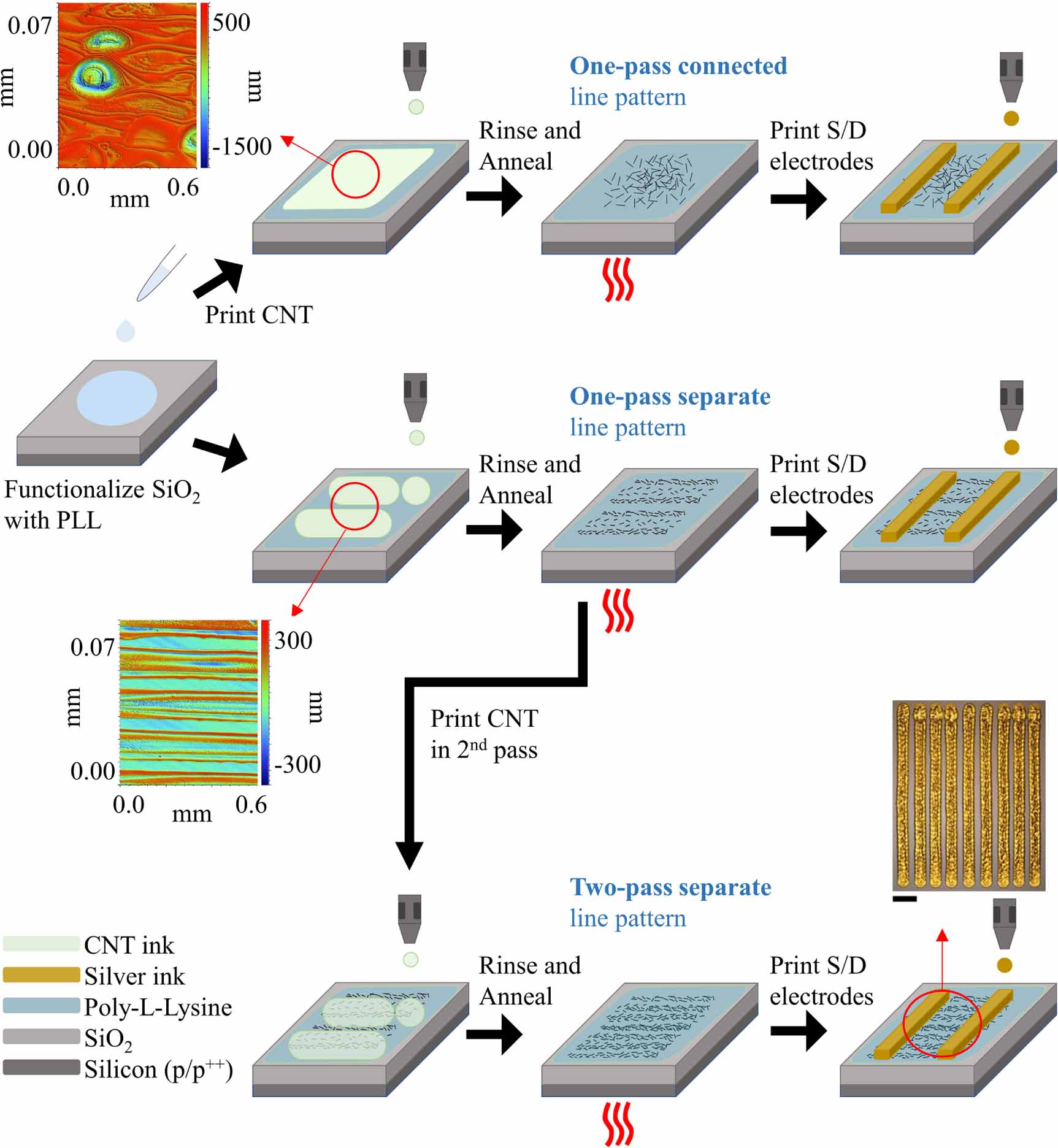 Inkjet-printed transistors with coffee ring aligned carbon nanotubes ...