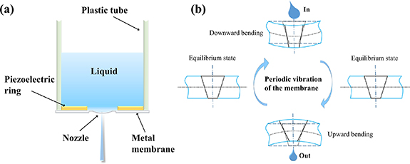 A vibrating membrane ejector for direct ink writing of printed ...