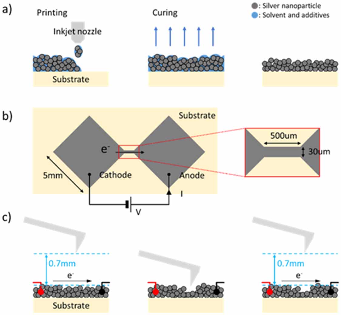 Electromigration and electrical sintering in printed silver from high ...