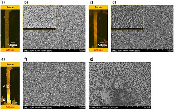 Electromigration and electrical sintering in printed silver from high ...