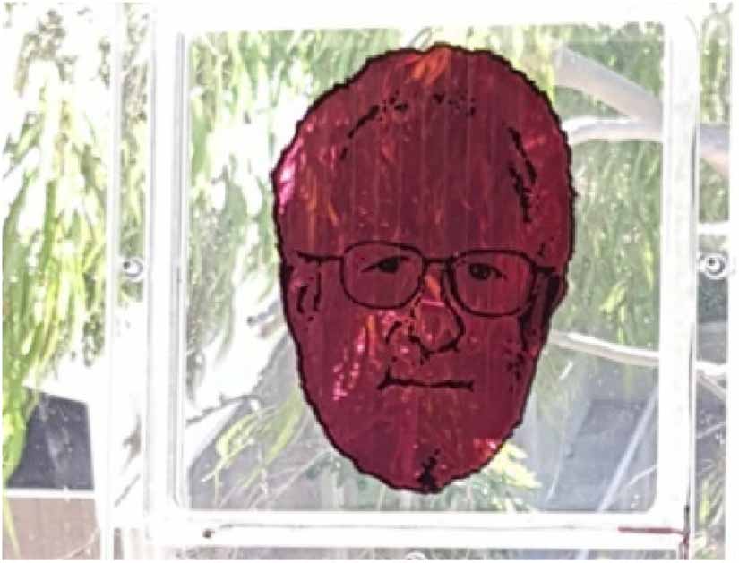 Challenges and opportunities in upscaling inkjet-printing of OPV ...