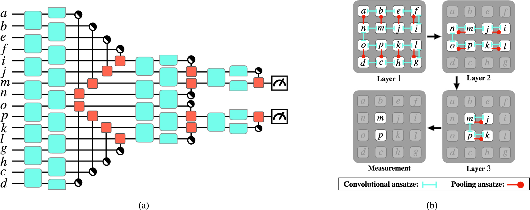 Permutation-equivariant quantum convolutional neural networks - IOPscience