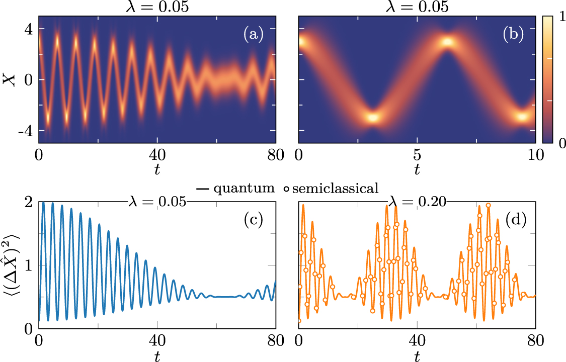 Dynamical generation and transfer of nonclassical states in strongly ...