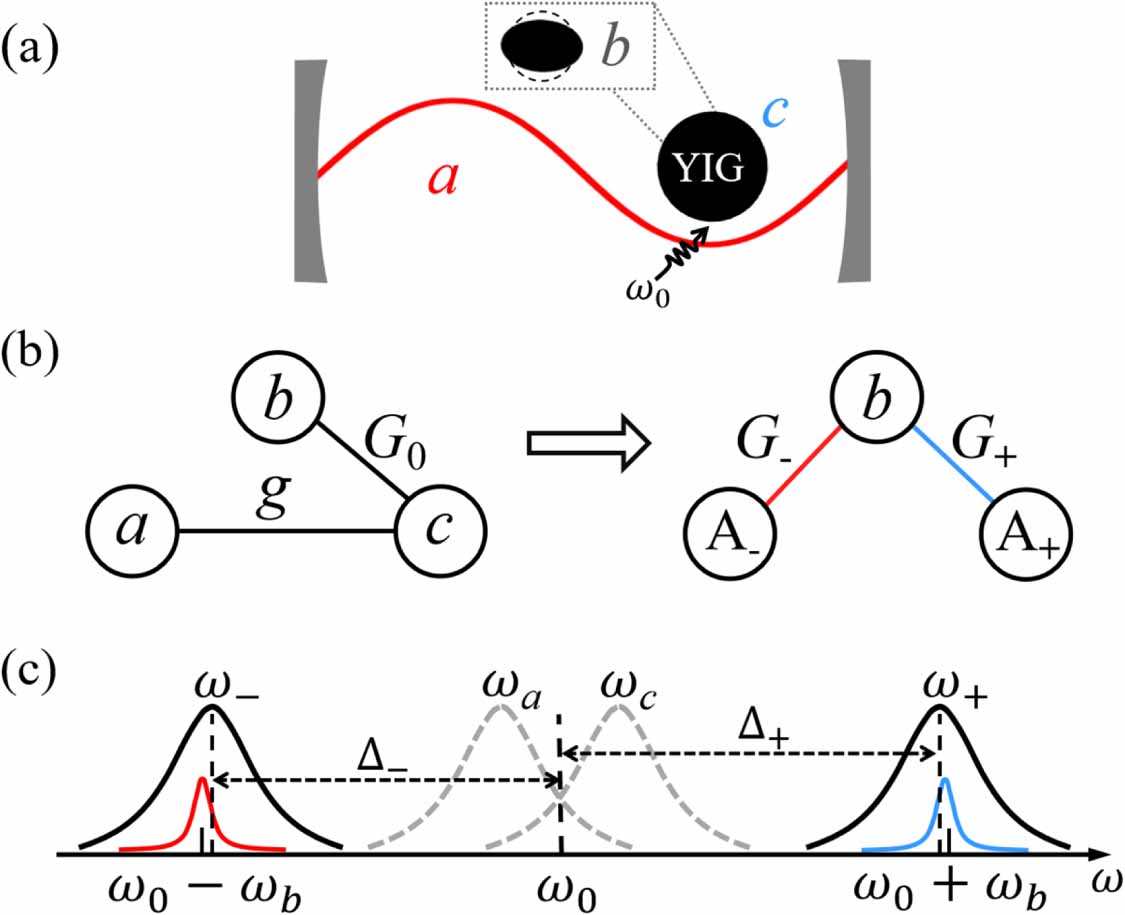 Entangling cavity-magnon polaritons by interacting with phonons ...