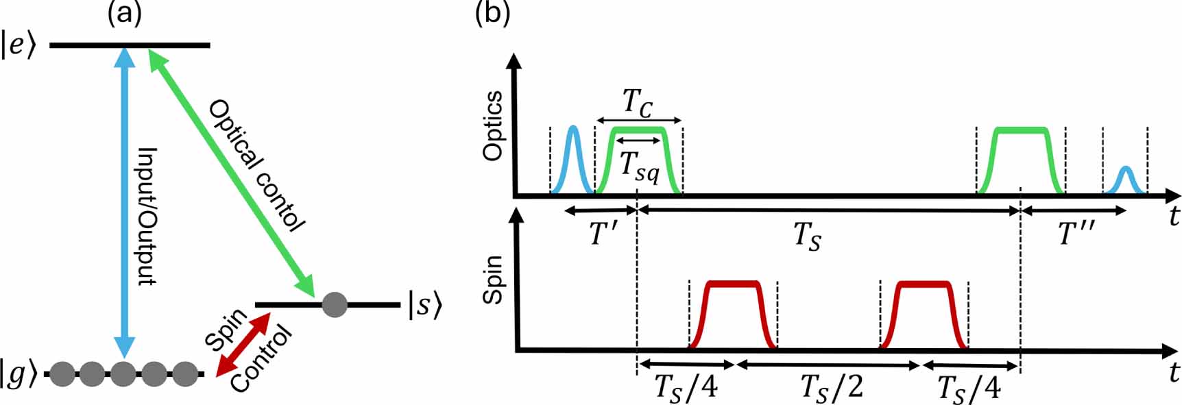 Efficient and reversible optical-to-spin conversion for solid-state ...