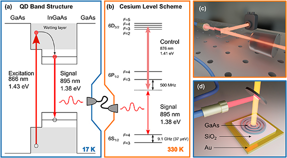 Storage of single photons from a semiconductor quantum dot in a room ...