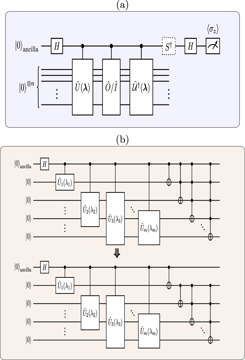 Resource-efficient Hadamard test tailored variational framework for ...