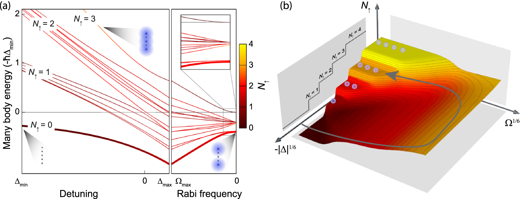 Quantum simulation of transverse Ising models with Rydberg atoms - IOPscience