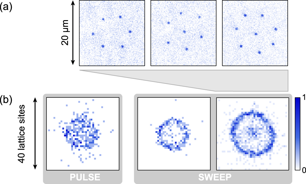 Quantum simulation of transverse Ising models with Rydberg atoms ...