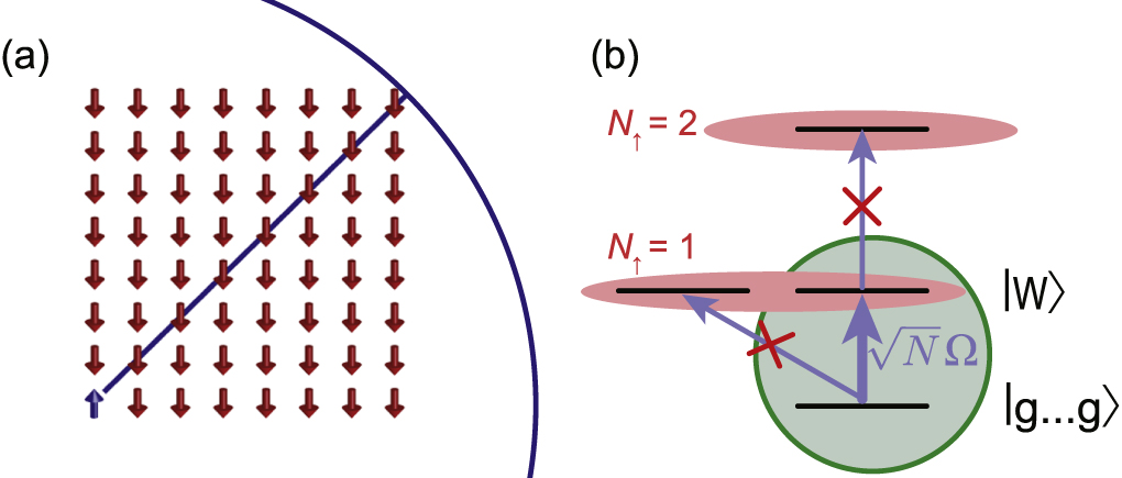 Quantum simulation of transverse Ising models with Rydberg atoms ...