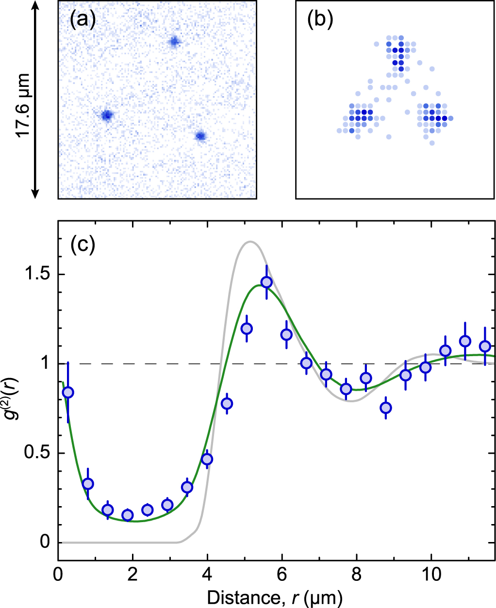 Quantum simulation of transverse Ising models with Rydberg atoms - IOPscience