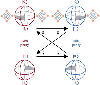 Quantum information processing with bosonic qubits in circuit QED ...