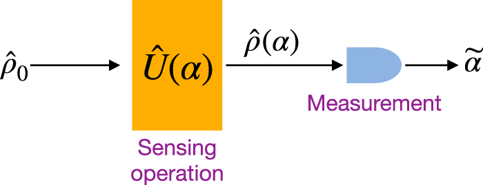 Distributed quantum sensing - IOPscience