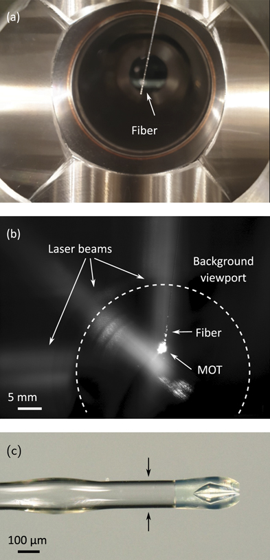 Microscopic 3D printed optical tweezers for atomic quantum technology ...
