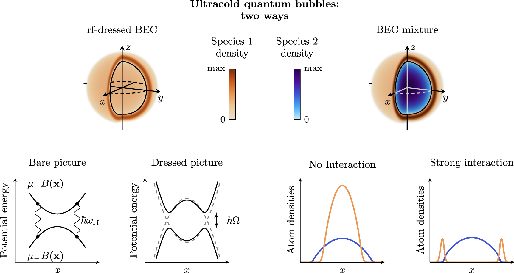Perspective on quantum bubbles in microgravity - IOPscience