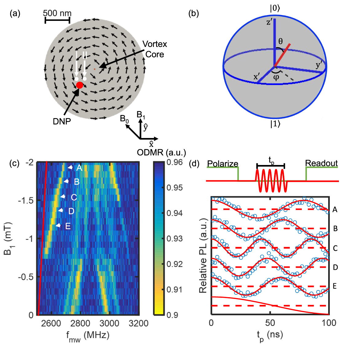 Coherent rotation of a single spin via adiabatic half passage in the ...