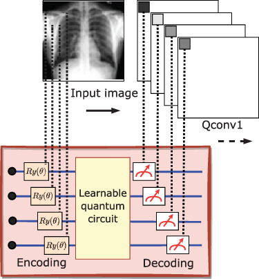 Federated quanvolutional neural network: a new paradigm for collaborative quantum learning ...