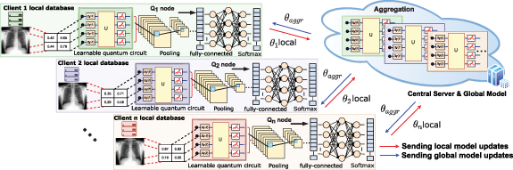 Federated quanvolutional neural network: a new paradigm for ...