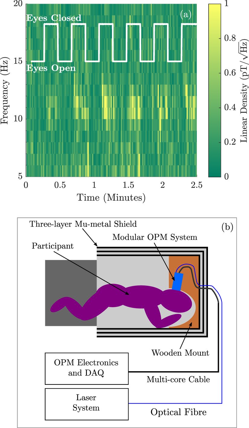 A modular optically pumped magnetometer system - IOPscience
