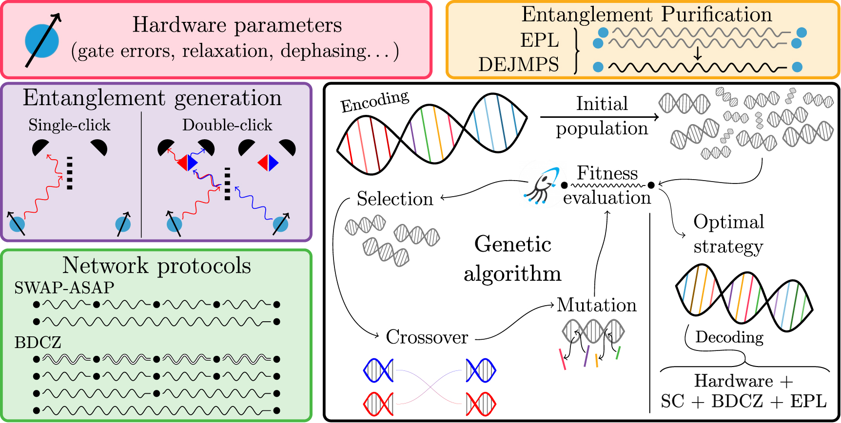Reducing hardware requirements for entanglement distribution via joint hardware-protocol ...