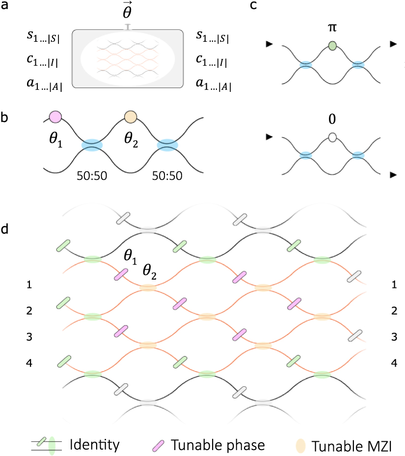 Towards interpretable quantum machine learning via single-photon ...
