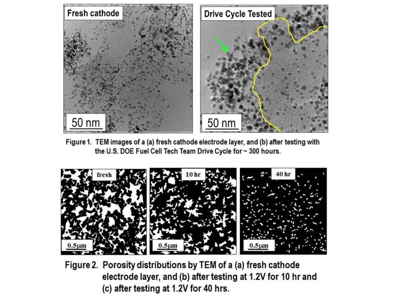 PEM Fuel Cell MEA Structure Degradation - IOPscience