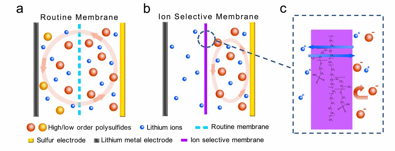 Ionic Shield for Polysulfides Toward High-Stable Lithium Sulfur Battery ...