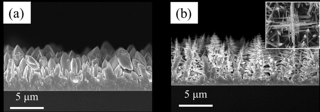Effect of Additive on the Formation of Cusn Alloy Nano-Trees Formed ...