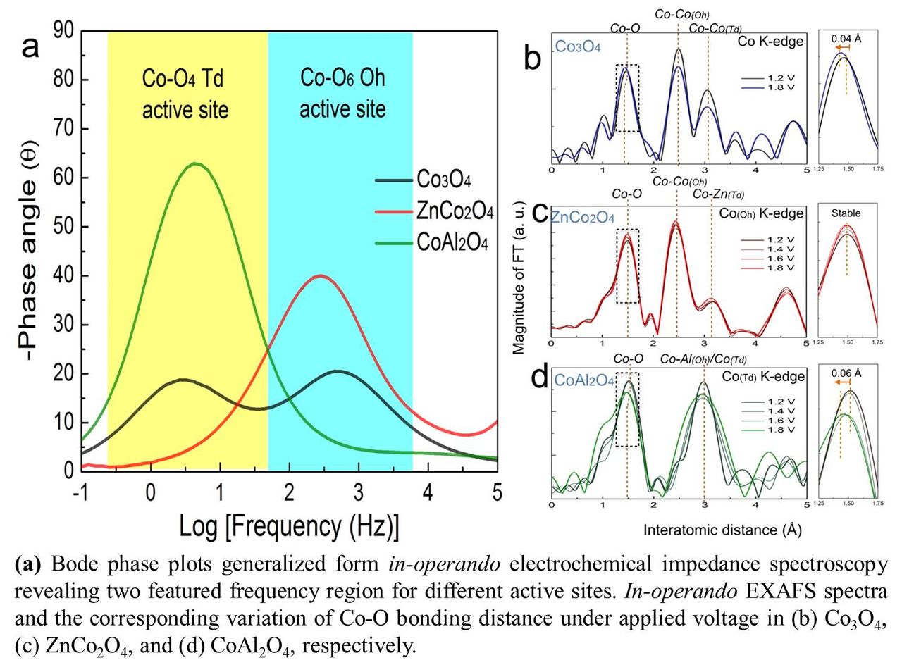 In-Operando Observation of Geometrical-Site-Dependent Activity of ...